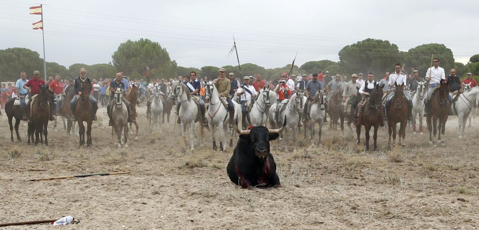 El nuevo Toro de la Vega y el principio de legalidad | E&J