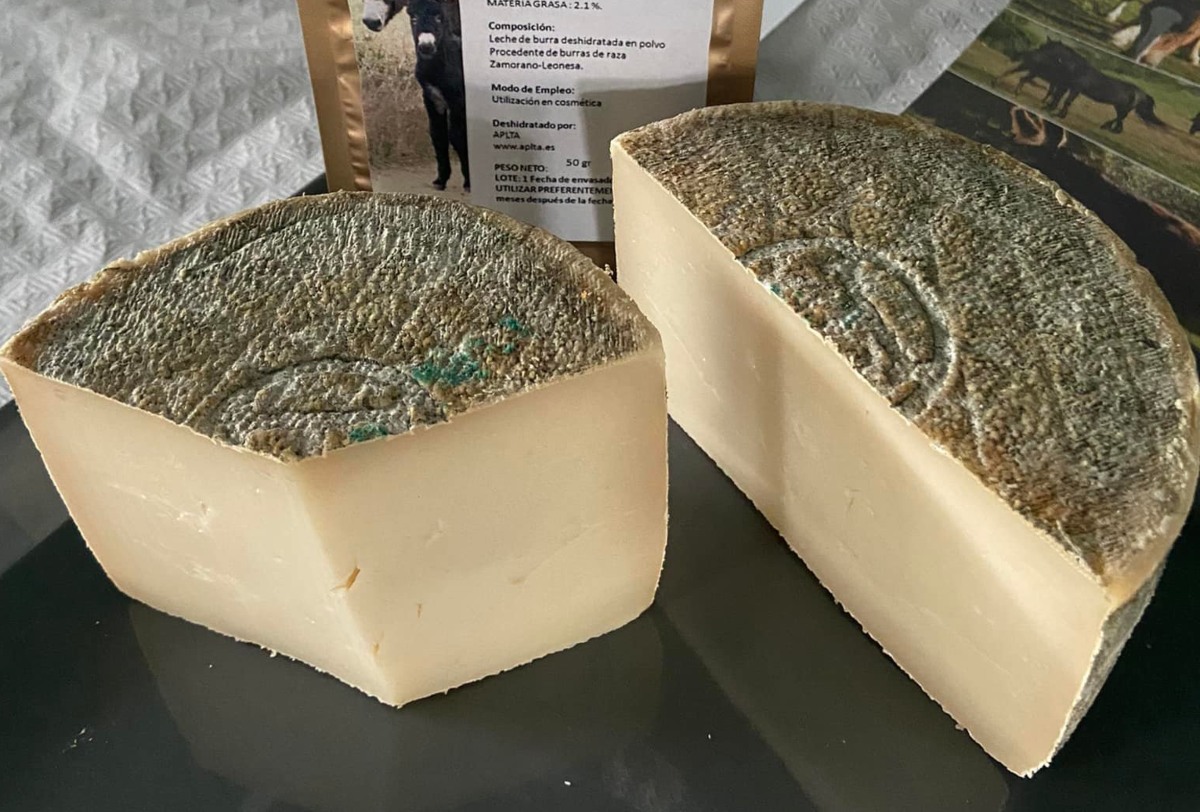 El queso más caro del mundo es de leche de burra | E&J
