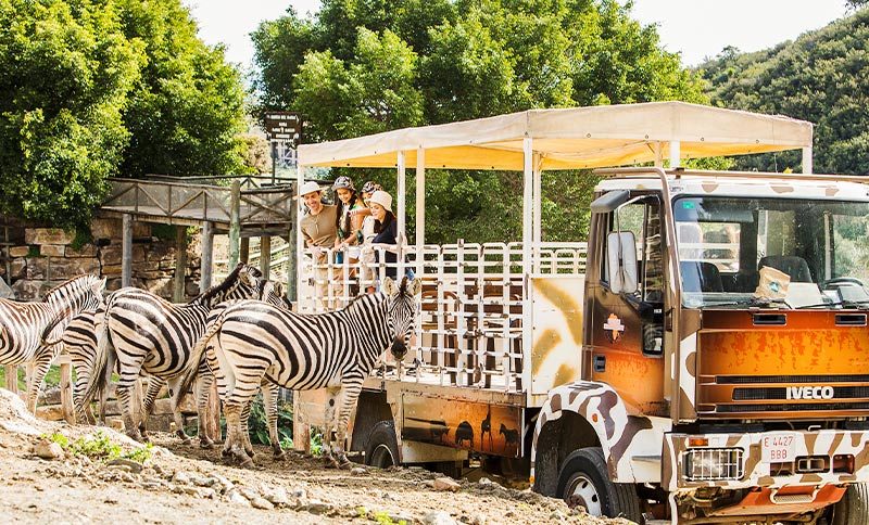 De safari por España: las rutas más alucinantes | E&J